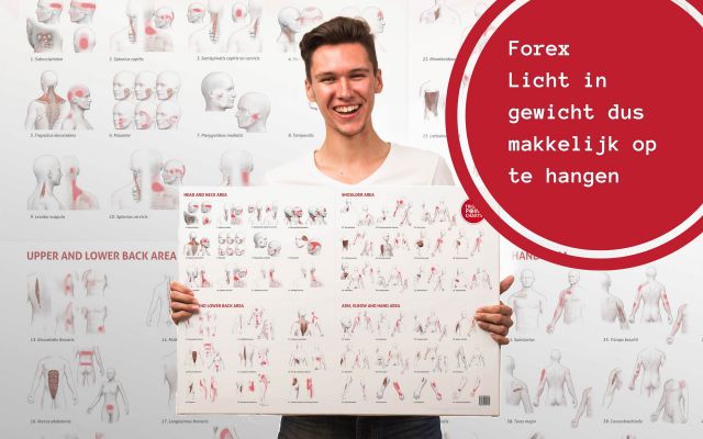 Poster Set klein Forex - Triggerpoint Shop